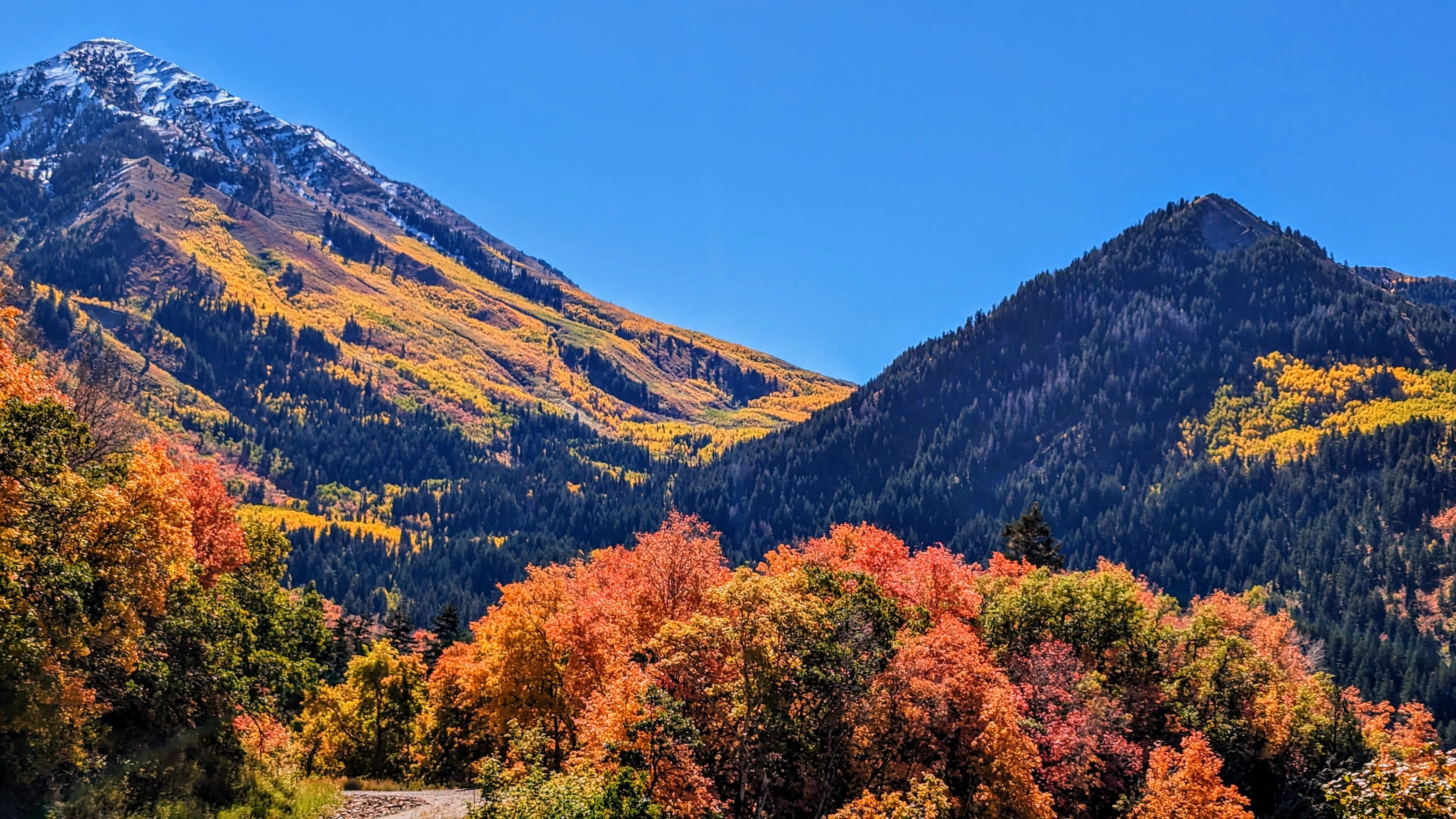 New Moon in Scorpio — Deep Rebirth and Relational Recalibration ...